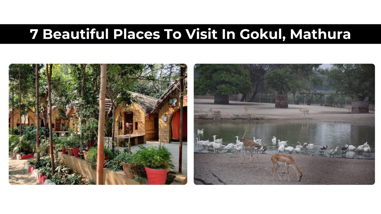 9 Beautiful Places To Visit In Gokul Mathura - Mathura Vrindavan ...